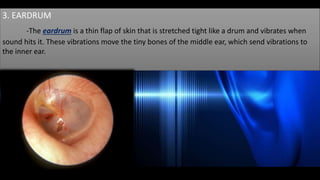 Students with Hearing Impairment 1 | PPTX