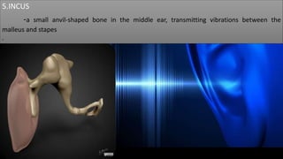 Students with Hearing Impairment 1 | PPTX