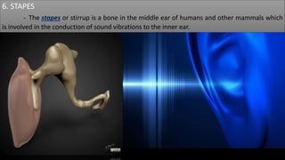 Students with Hearing Impairment 1 | PPTX