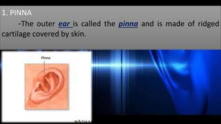 Students with Hearing Impairment 1 | PPTX