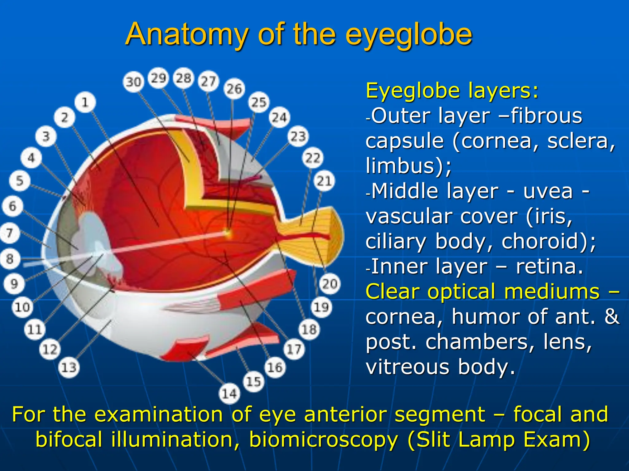 Part 1. ANATOMY AND PHYSIOLOGY OF THE EYE. Refraction, accommodation ...
