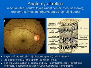 Part 1. ANATOMY AND PHYSIOLOGY OF THE EYE. Refraction, accommodation ...