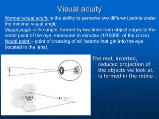 Part 1. ANATOMY AND PHYSIOLOGY OF THE EYE. Refraction, accommodation ...