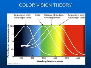 Part 1. ANATOMY AND PHYSIOLOGY OF THE EYE. Refraction, accommodation ...