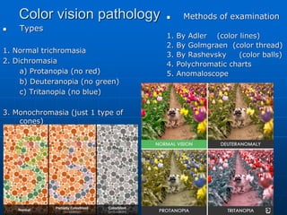 Part 1. ANATOMY AND PHYSIOLOGY OF THE EYE. Refraction, accommodation ...