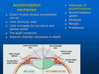 Part 1. ANATOMY AND PHYSIOLOGY OF THE EYE. Refraction, accommodation ...
