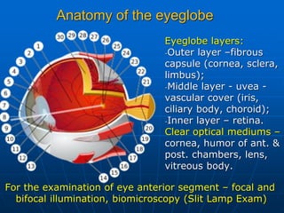Part 1. ANATOMY AND PHYSIOLOGY OF THE EYE. Refraction, accommodation ...