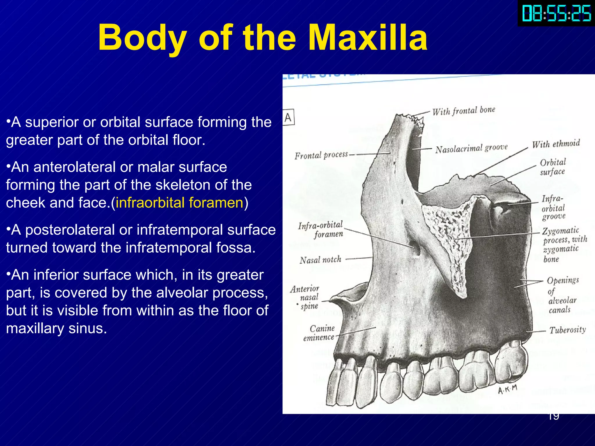 Part1.Anatomy | PPT
