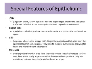 Part 1-Animal tissue and basic cell types.pptx