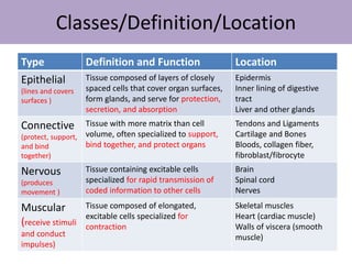 Part 1-Animal tissue and basic cell types.pptx