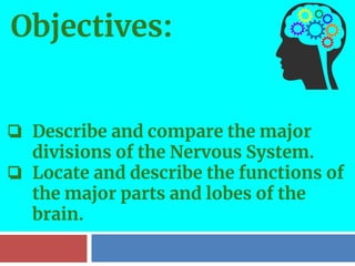 Part 1 - Nervous System_ Major Parts and Functions.pdf