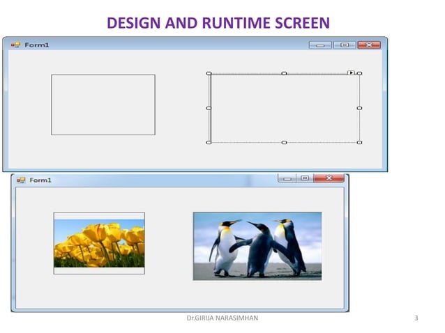 Part 1 picturebox using vb.net