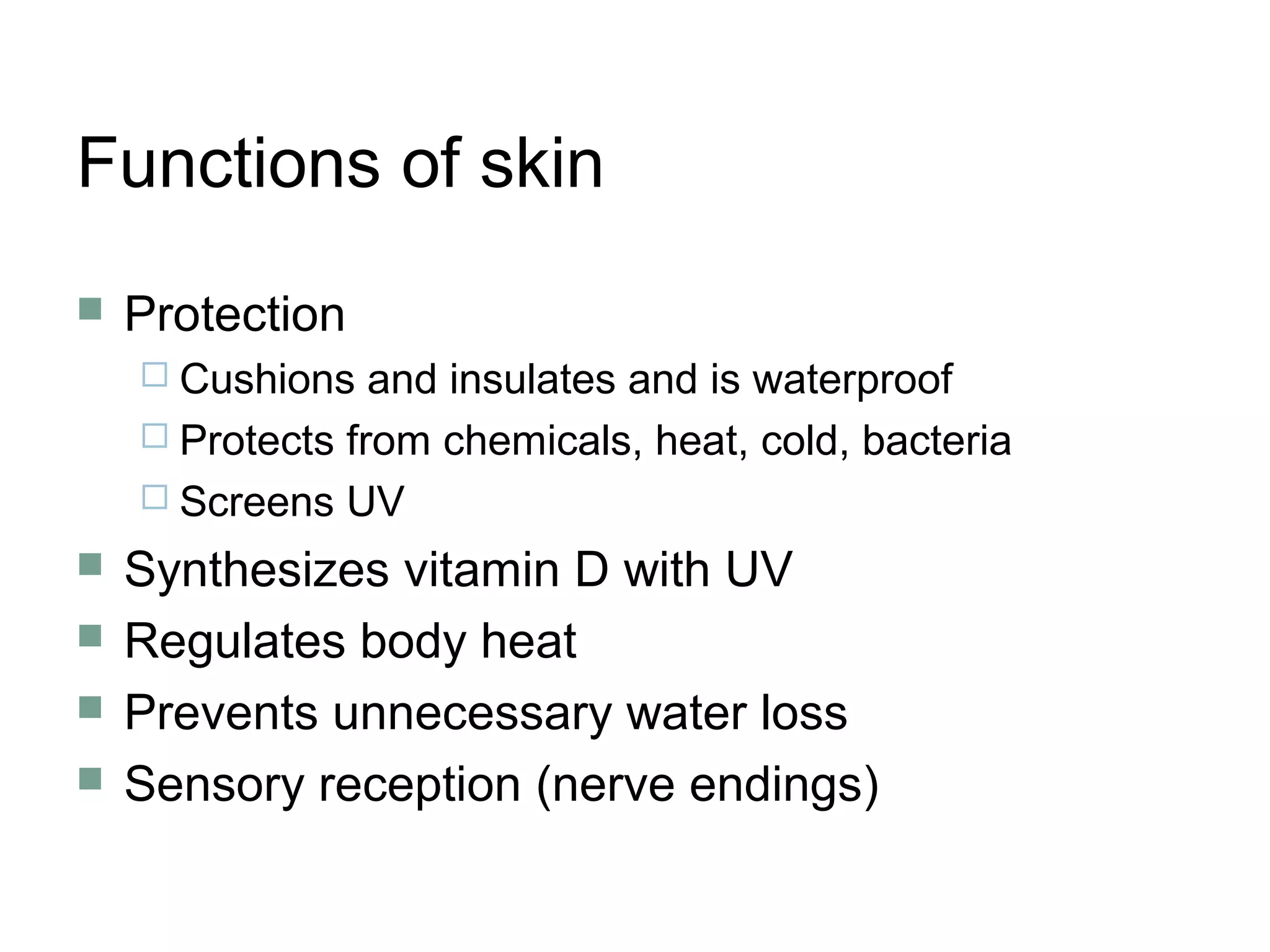 Part 1 the integumentary system(ai-ann) | PPT