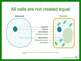 The basics of Cell Biology | PPT
