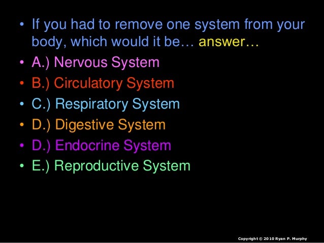 Reproductive System Lesson PowerPoint, Human Reproduction, Biology Le…