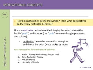 Part 12 (What Drives Us) | PPT