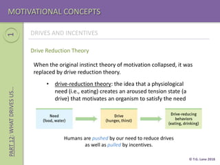 Part 12 (What Drives Us) | PPT