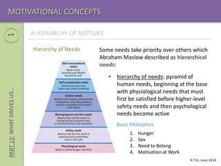 Part 12 (What Drives Us) | PPT