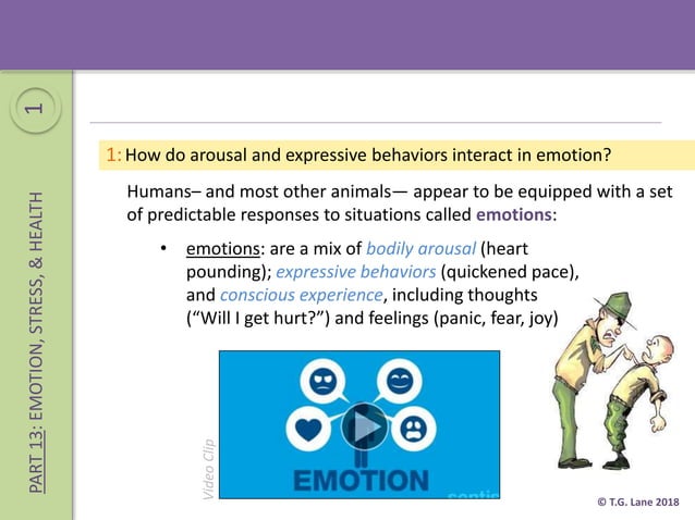 Part 13 (Emotion, Stress, Health) | PPT