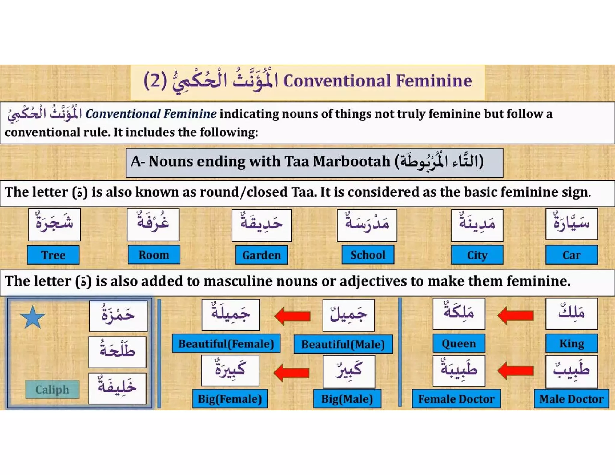 Part 1 Arabic grammar.pdf