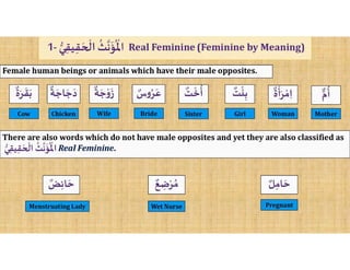 Part 1 Arabic grammar.pdf