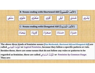Part 1 Arabic grammar.pdf