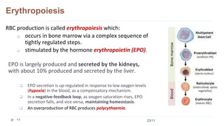 Part 1 back to basics 2311 | PPT