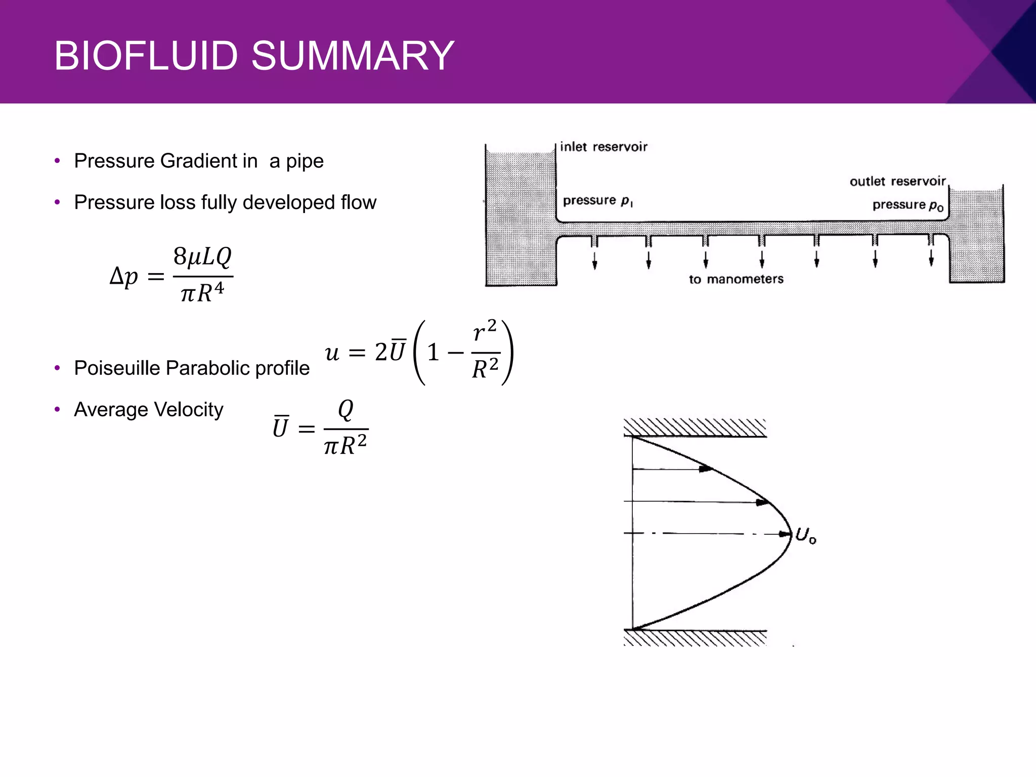 Part 1 Biofluids Summary and CFD basics Pt 1(1).pdf