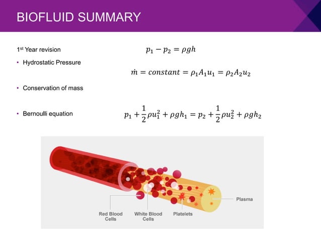 Part 1 Biofluids Summary and CFD basics Pt 1(1).pdf