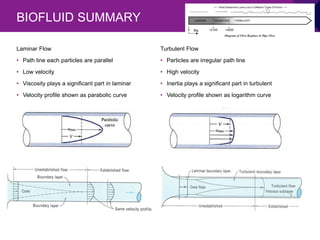 Part 1 Biofluids Summary and CFD basics Pt 1(1).pdf