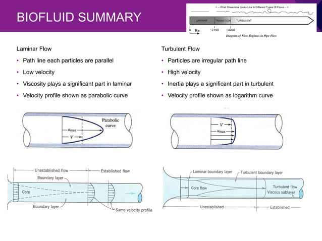 Part 1 Biofluids Summary and CFD basics Pt 1(1).pdf
