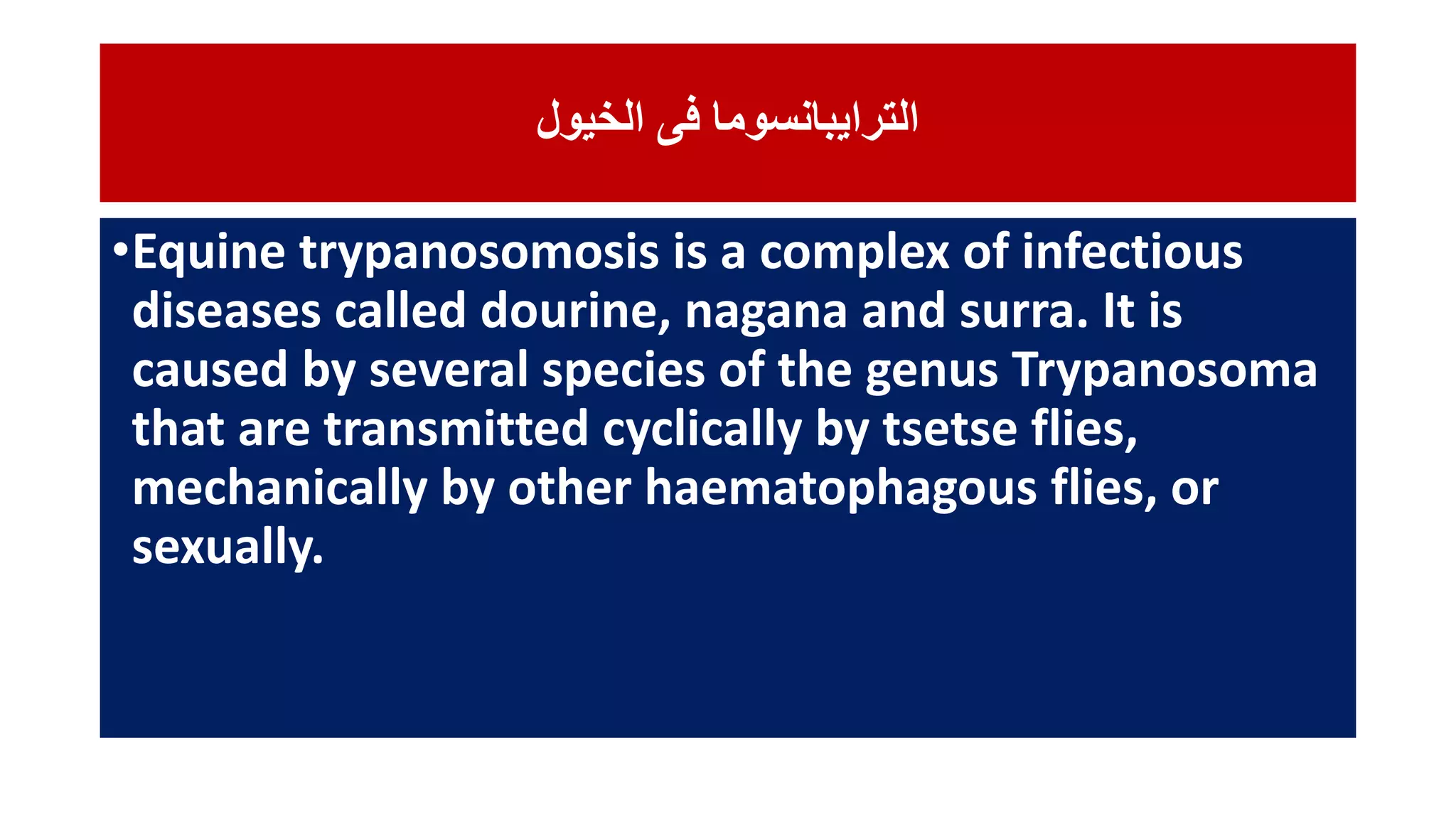 (Part 1) Blood parasites (1- Trypansomiasis) in Camels Prof Dr Hamed ...