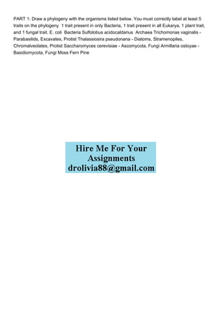 PART 1 Draw a phylogeny with the organisms listed below Yo.pdf