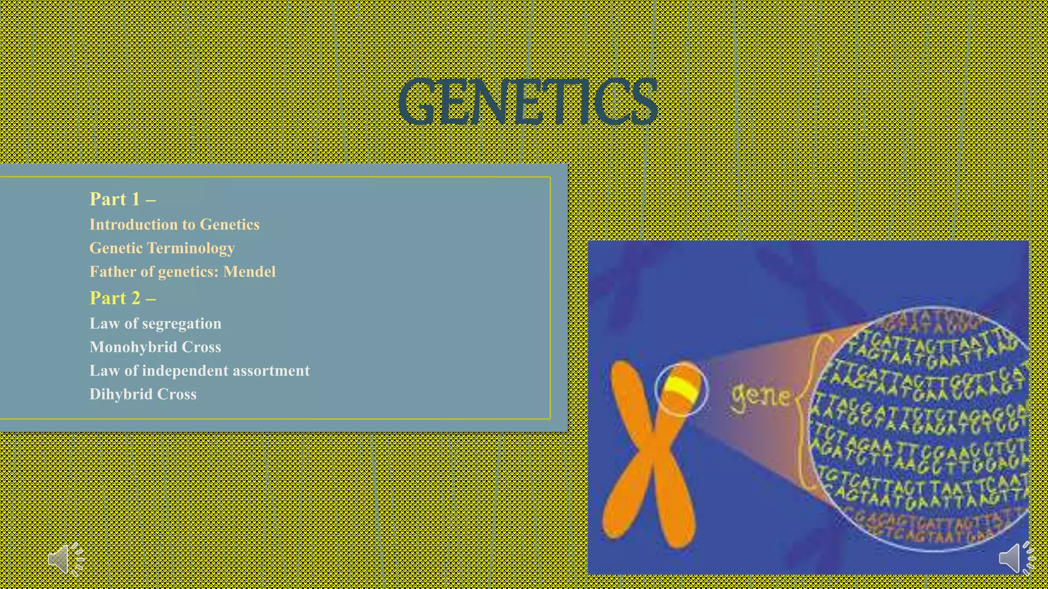 Classical Genetics : Genetics Terminologies | PPTX
