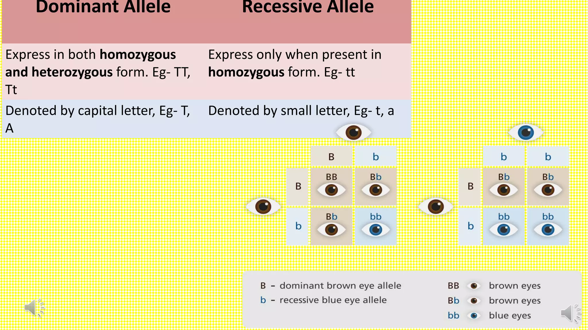 Classical Genetics : Genetics Terminologies | PPTX