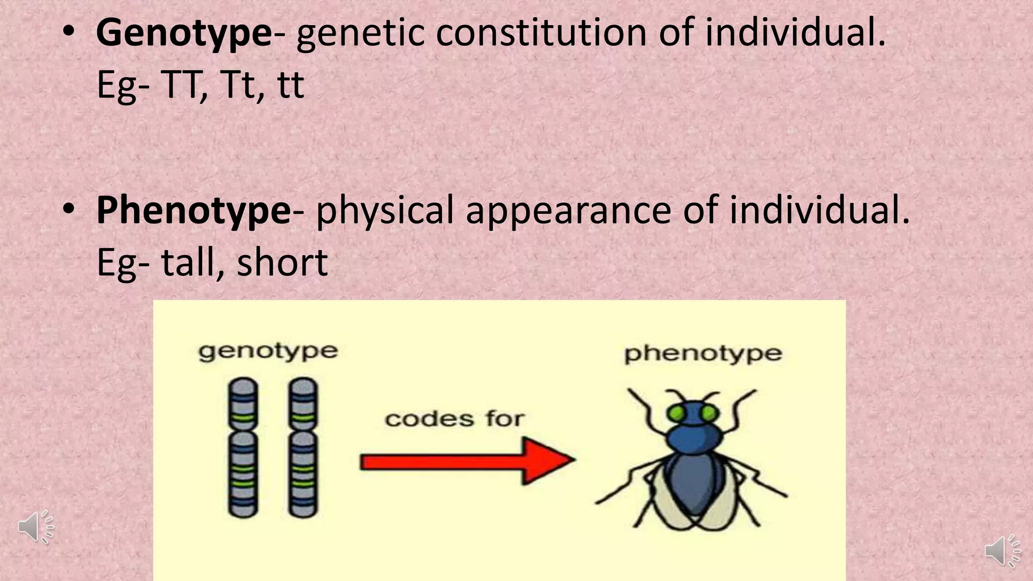 Classical Genetics : Genetics Terminologies | PPTX