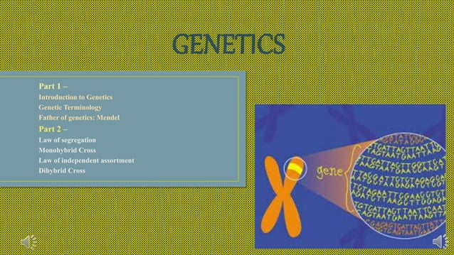 Classical Genetics : Genetics Terminologies | PPTX | Genetics | Science