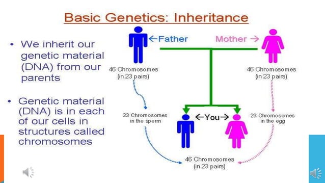 Classical Genetics : Genetics Terminologies | PPTX | Genetics | Science