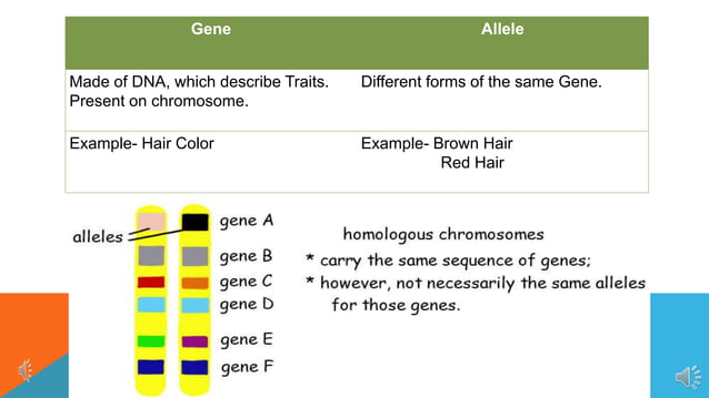 Classical Genetics : Genetics Terminologies | PPTX | Genetics | Science