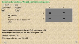 Classical Genetics : Genetics Terminologies | PPTX