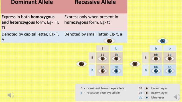 Classical Genetics : Genetics Terminologies | PPTX | Genetics | Science