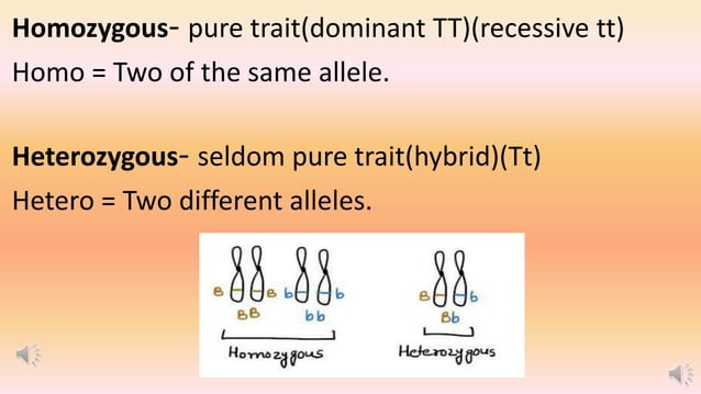 Classical Genetics : Genetics Terminologies | PPTX | Genetics | Science