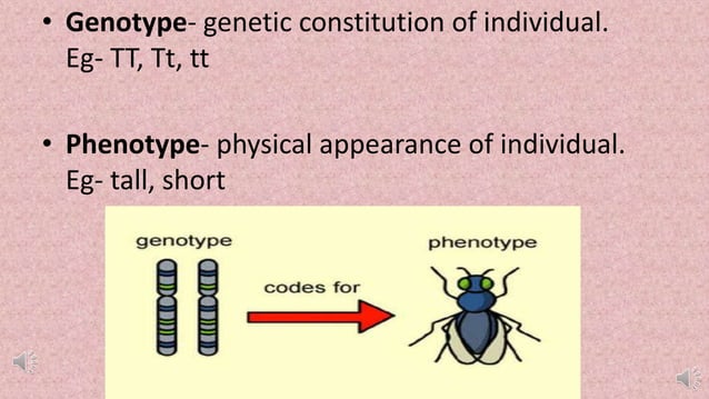 Classical Genetics : Genetics Terminologies | PPTX | Genetics | Science