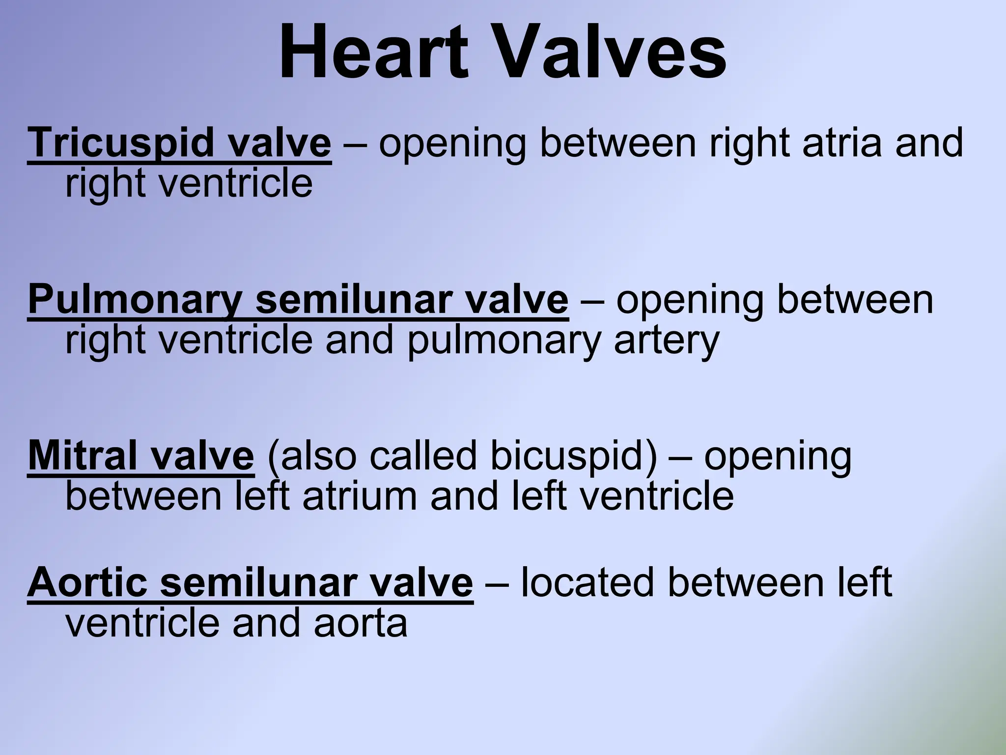 Part 1 Heart Structure & Function.ppt.pptx
