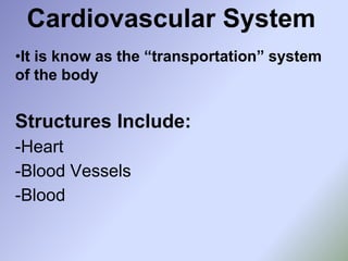 Part 1 Heart Structure & Function.ppt.pptx
