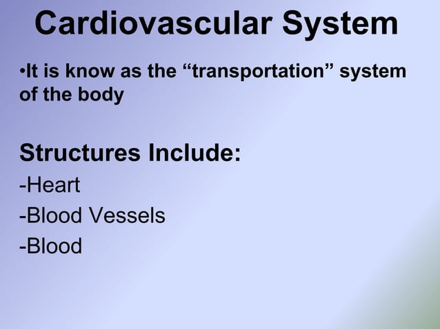 Part 1 Heart Structure & Function.ppt.pptx