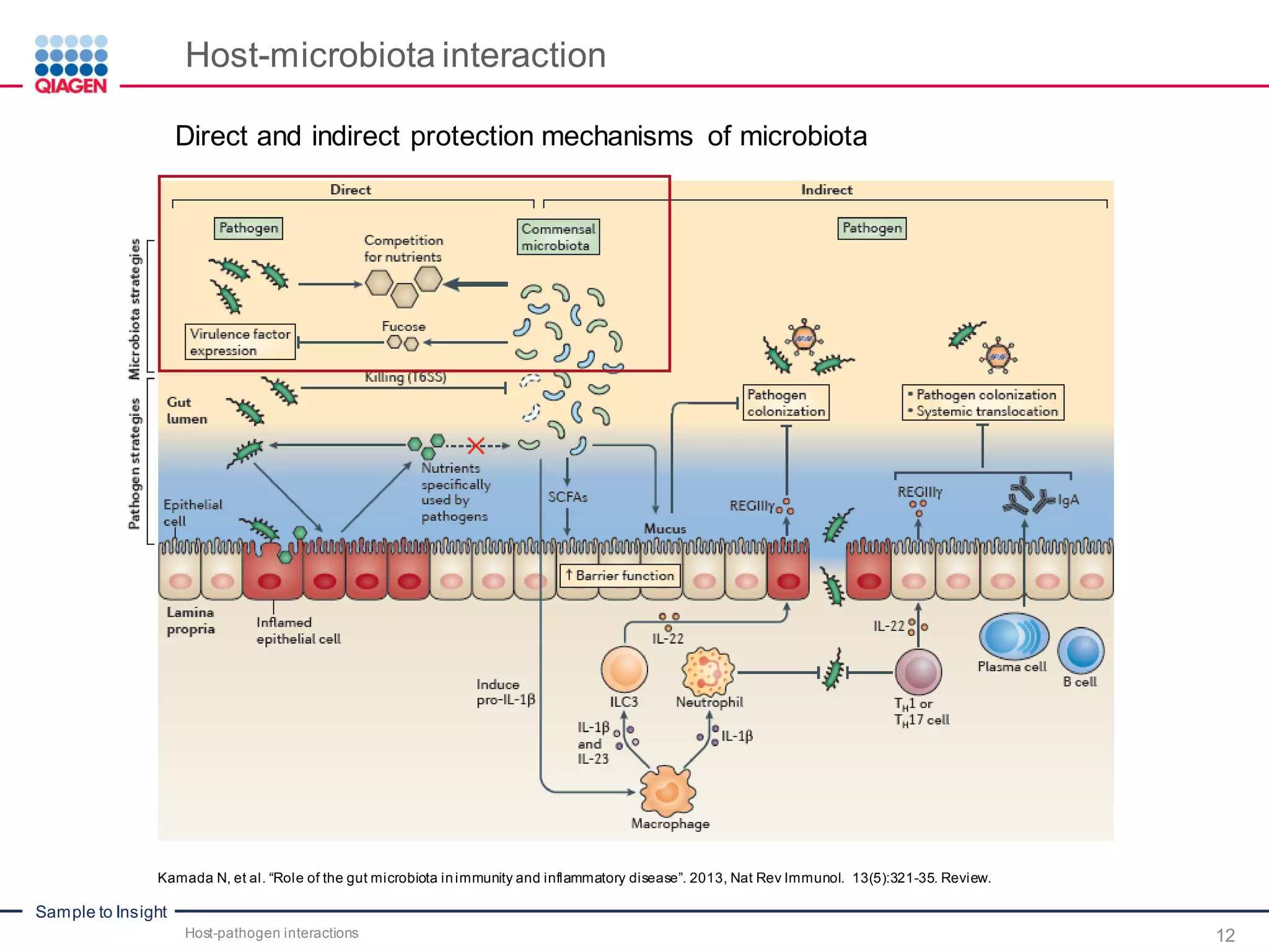 Host-pathogen Interactions, Molecular Basis and Host Defense: Pathogen ...