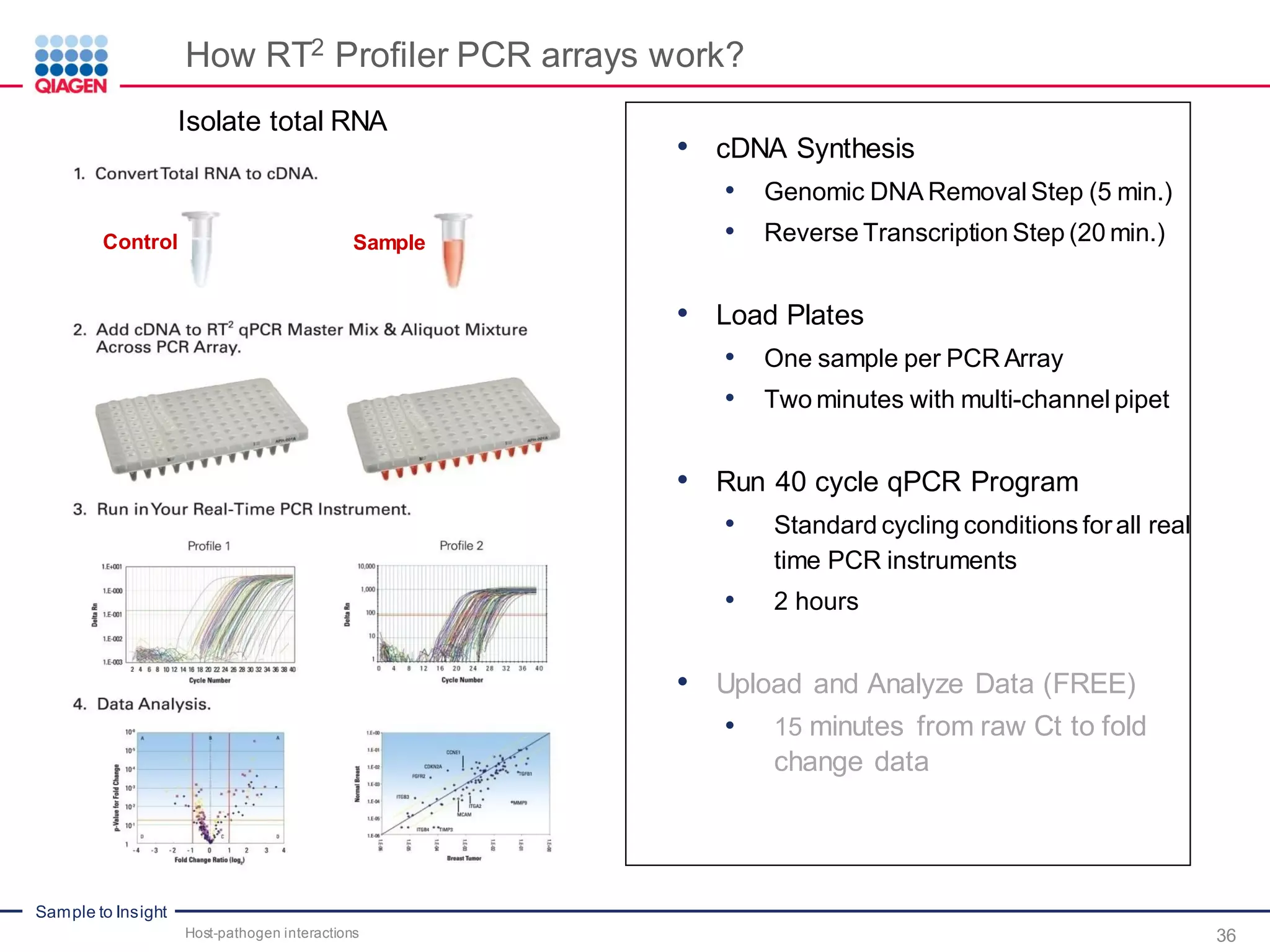 Host-pathogen Interactions, Molecular Basis and Host Defense: Pathogen ...