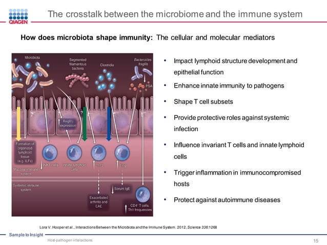 Host-pathogen Interactions, Molecular Basis and Host Defense: Pathogen ...