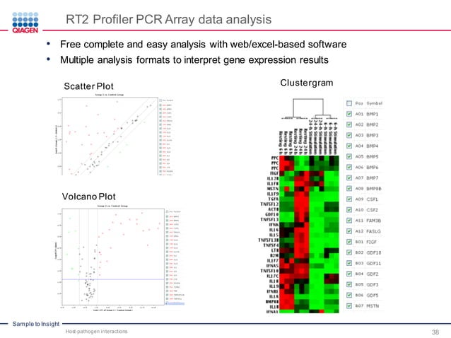 Host Pathogen Interactions Molecular Basis And Host Defense Pathogen Detection Webinar Series